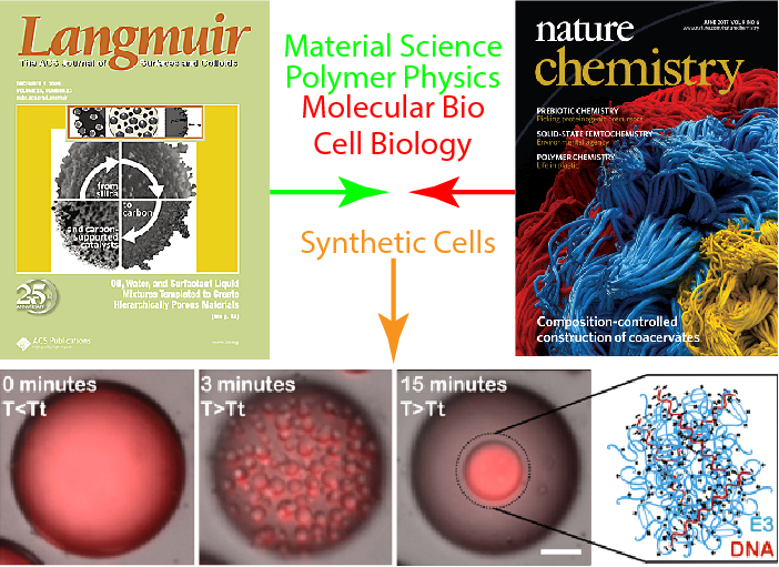 research – Carroll SynBio Lab